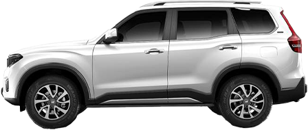 Finora’s Cardip Spray - Finora Car Care